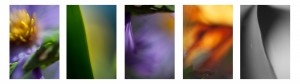 Tenets of Macro Expressionism - Carlin Felder